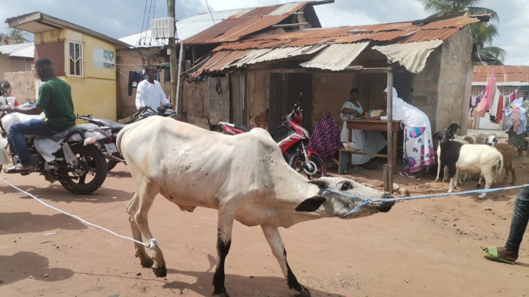 Ejura Shooting incident: Chiefs and people mark one year anniversary ...